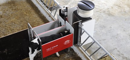 Автоматична система випоювання телят Lely Calm